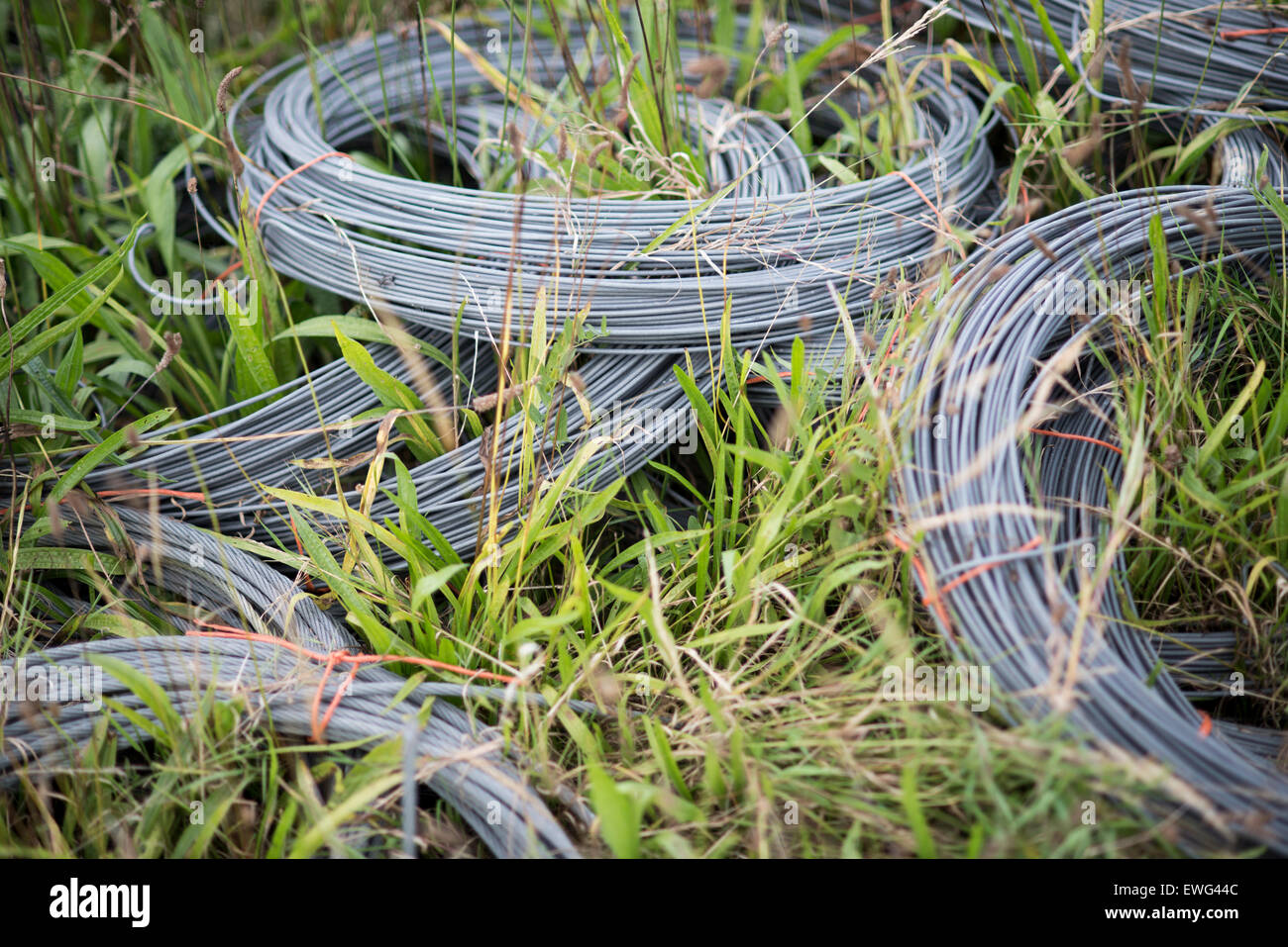 large coils of metal wire partially covered with green grass Stock ...