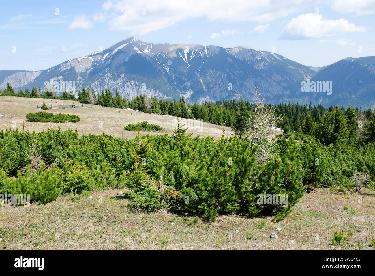 The Rax Alp mountains with Schneeberg Stock Photo - Alamy