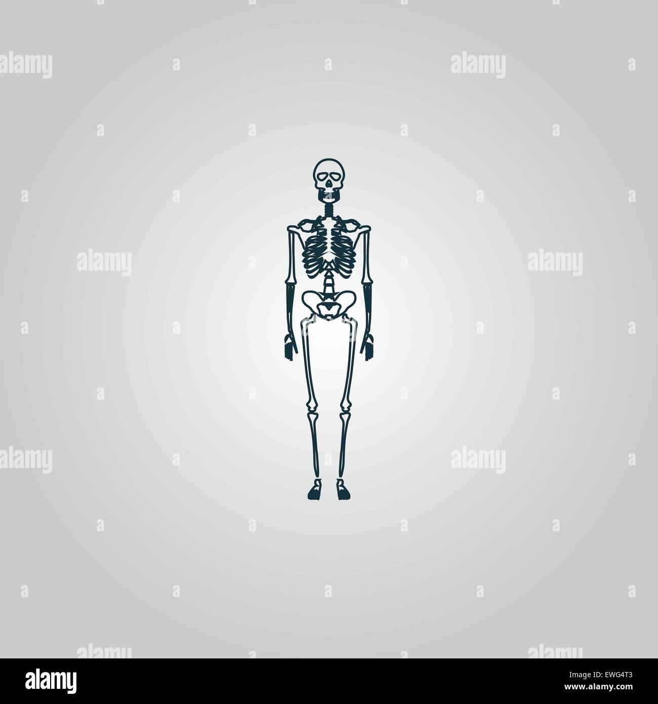 skeletons - human bones Stock Vector Image & Art - Alamy