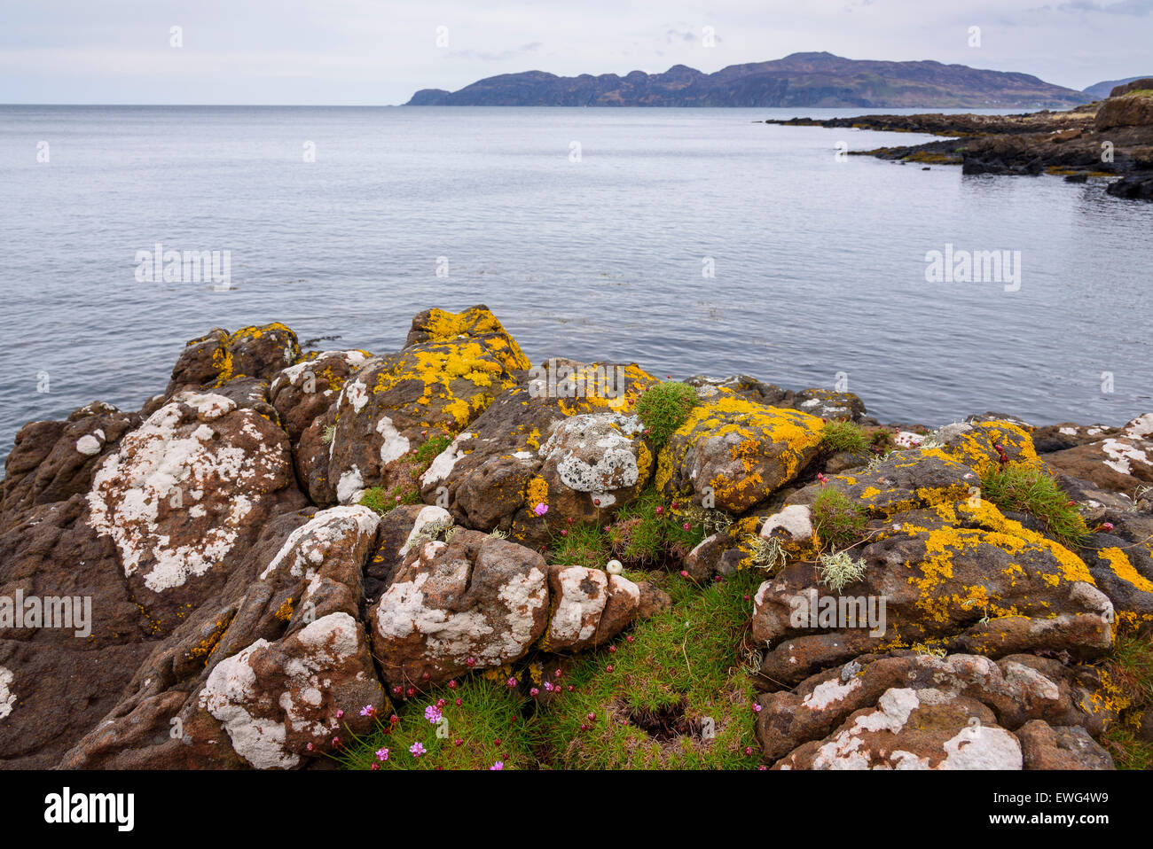 Ardmore High Resolution Stock Photography and Images - Alamy