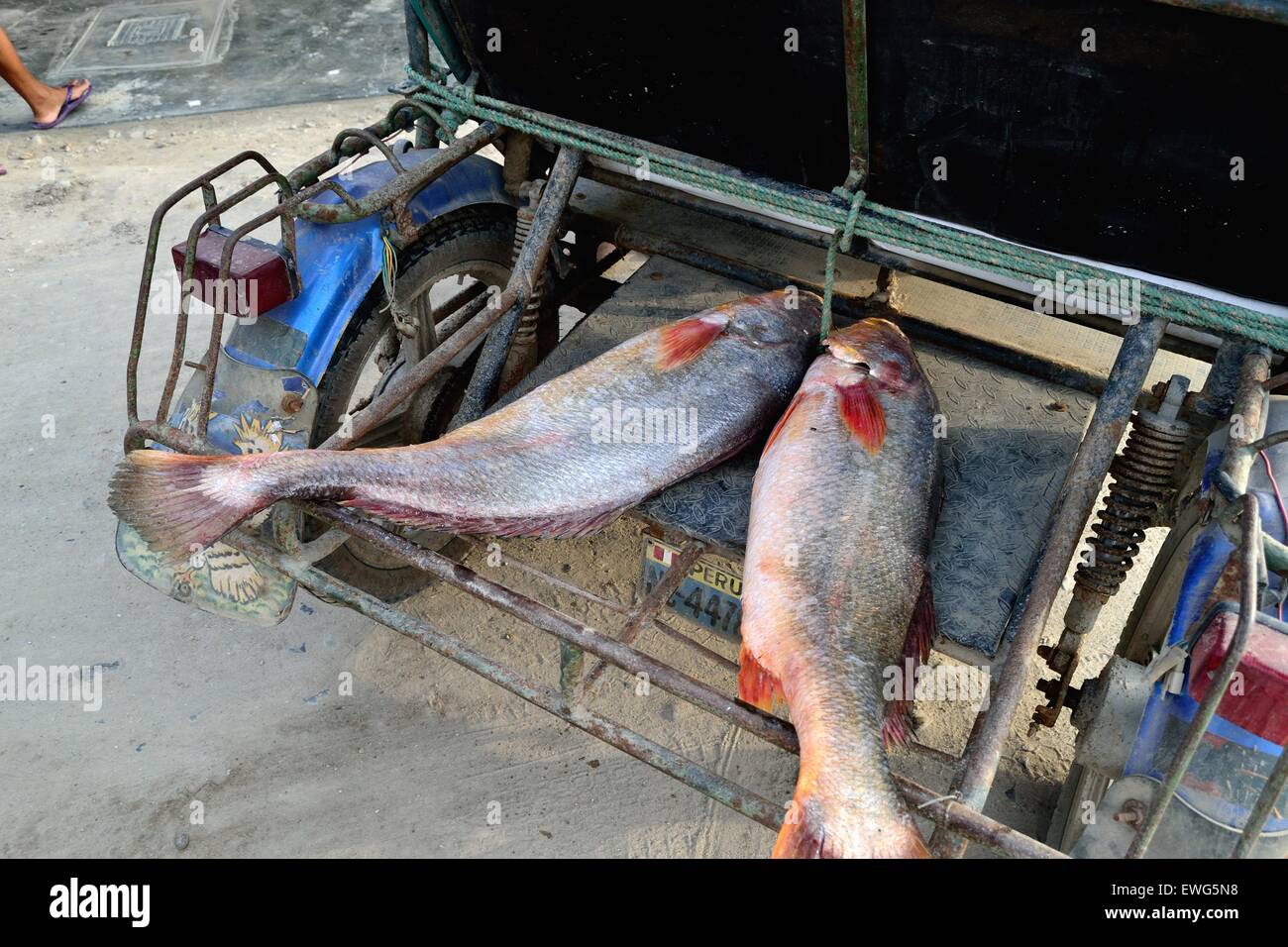 Motokar hi-res stock photography and images - Alamy