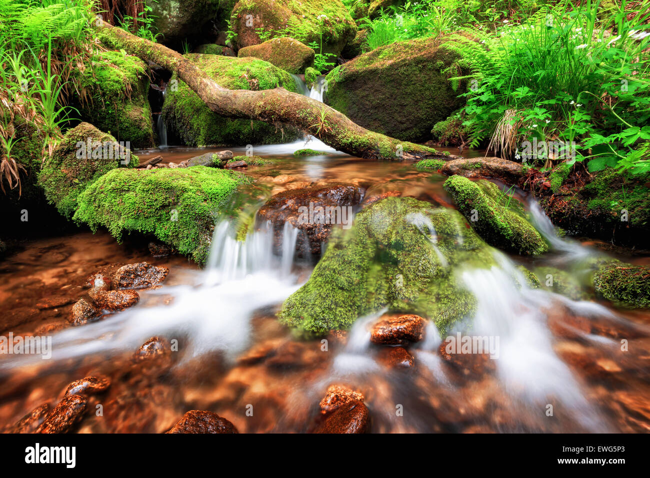 Small clear stream gently hi-res stock photography and images - Alamy