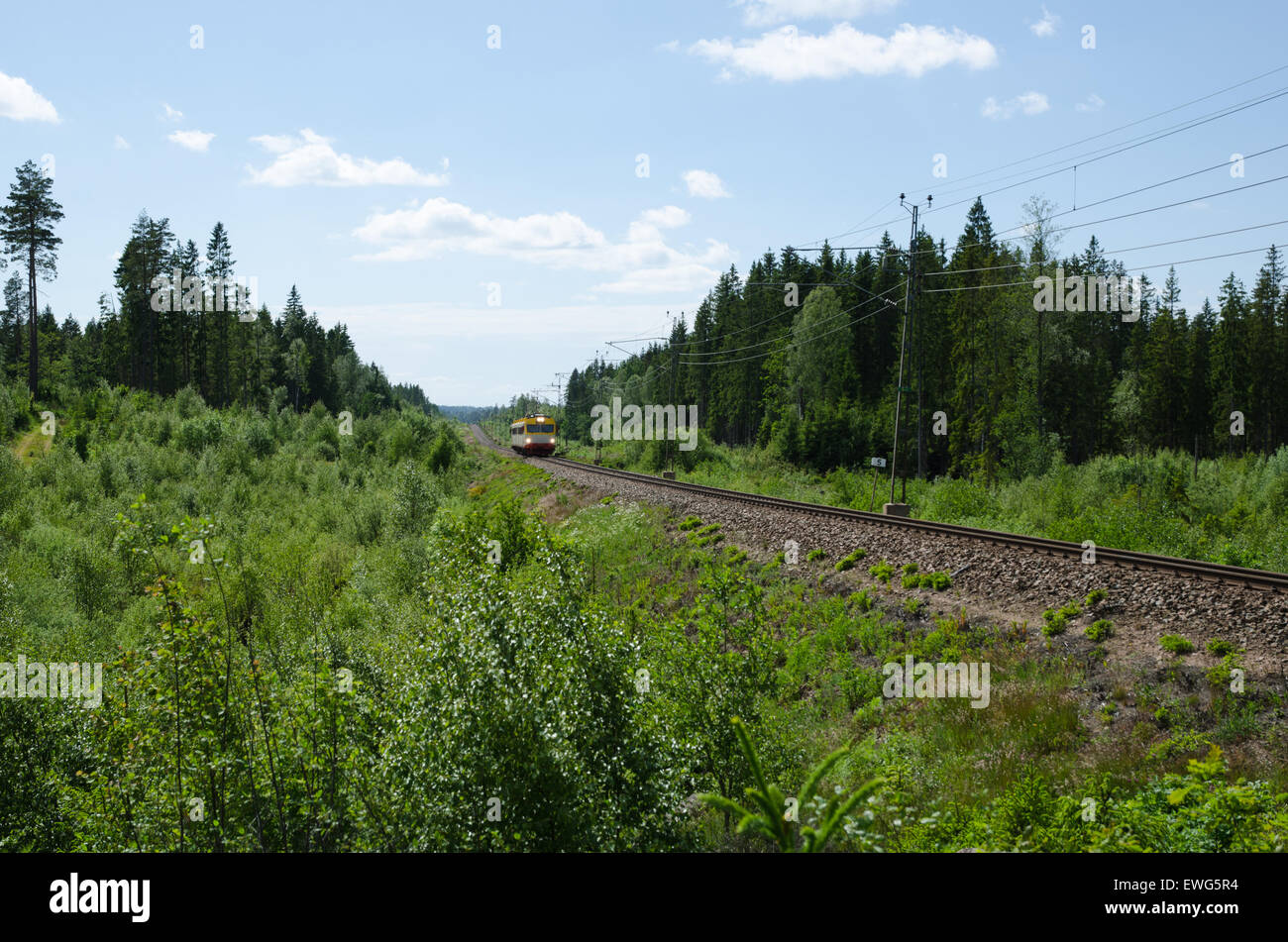 The local tran is coming on the track in a green swedish summer ...