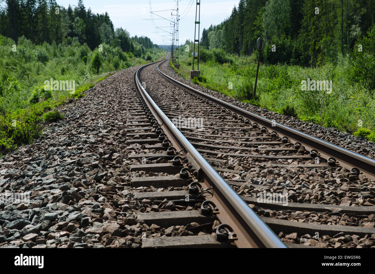 Railroad tracks closeup at a green landscape in a low perspective image ...