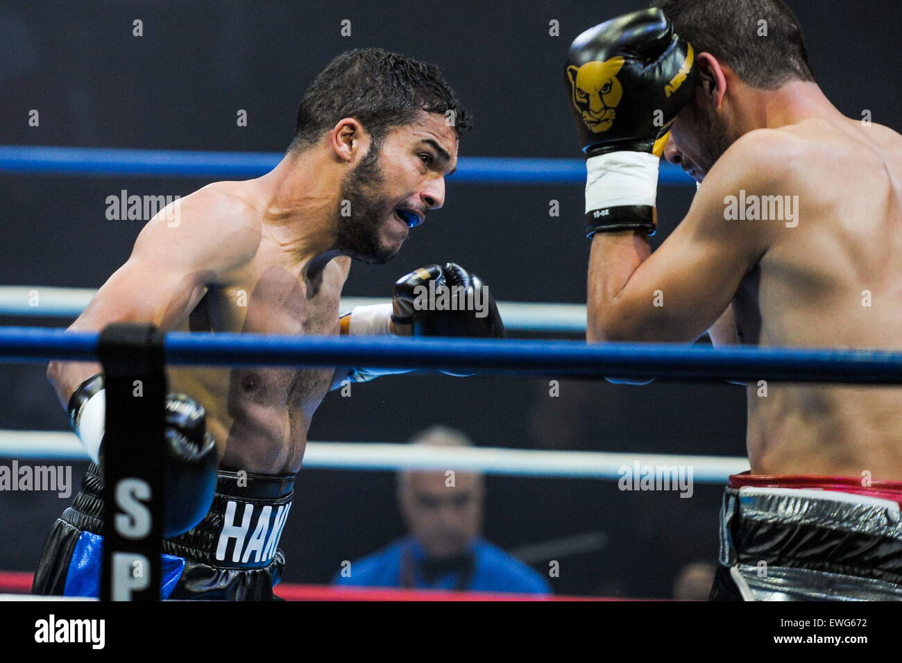 Hakim Zoulikha/Samy Anouche - 13.06.2015 - Apocalypse au Cirque d'Hiver ...