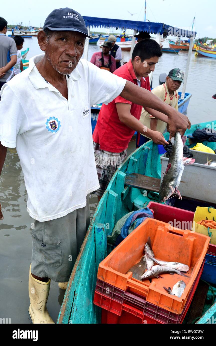 Bagre fish - Port in PUERTO PIZARRO. Department of Tumbes .PERU Stock ...