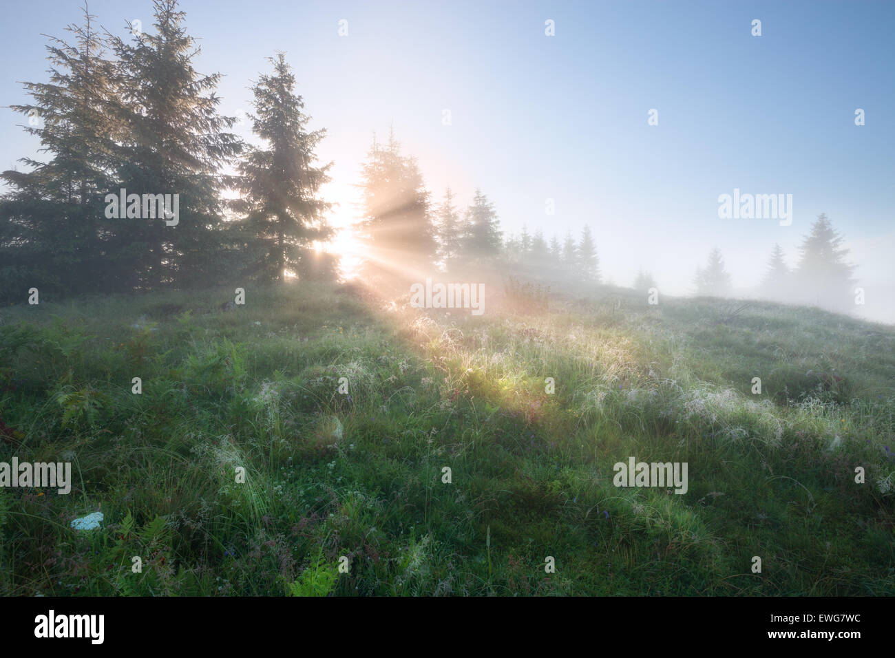 Foggy mountain morning Stock Photo - Alamy