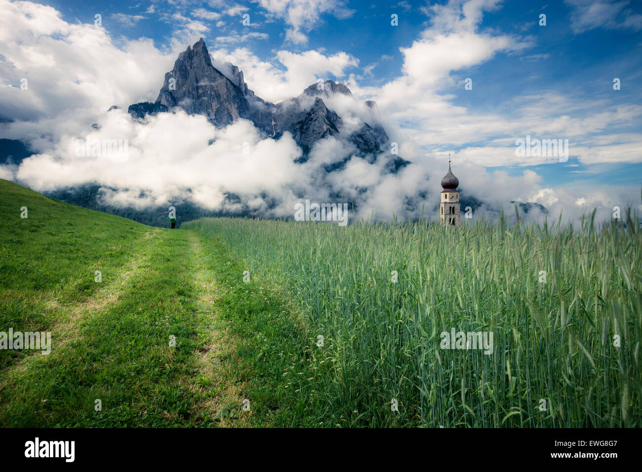 Summer alpine meadow. Dolomites mountains, Italy Stock Photo - Alamy
