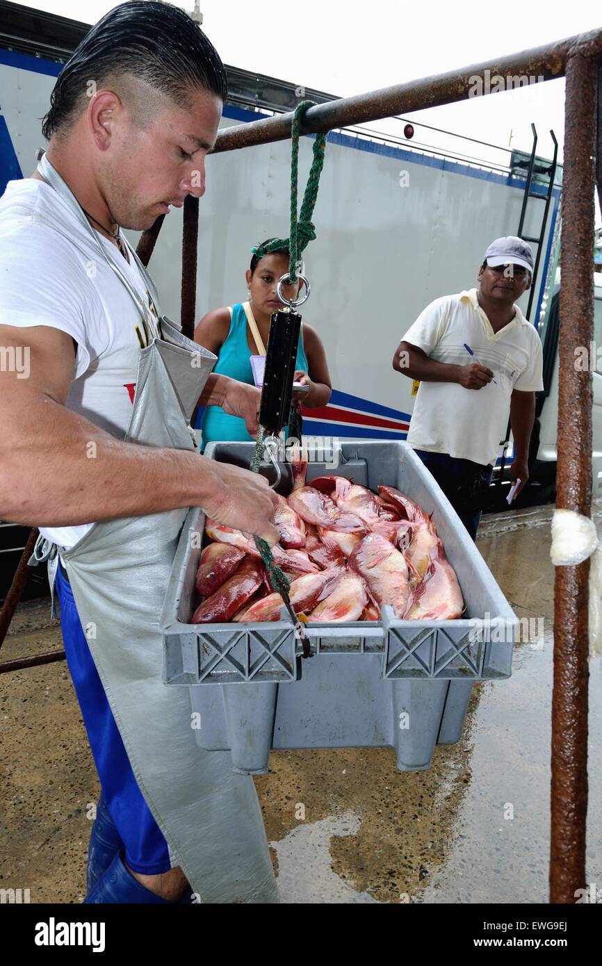 Latin writing fish hi-res stock photography and images - Alamy