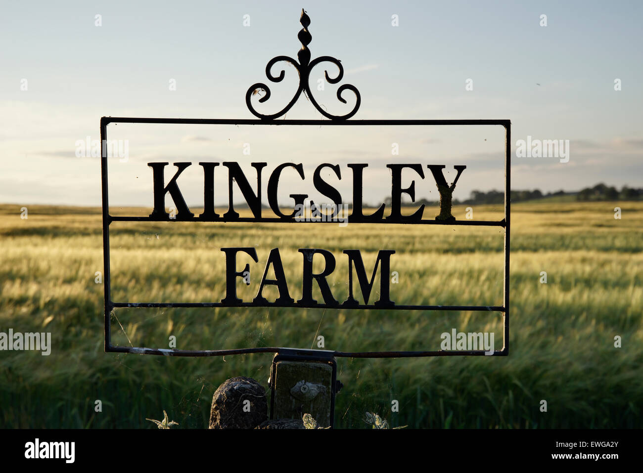 Tasley hi-res stock photography and images - Alamy