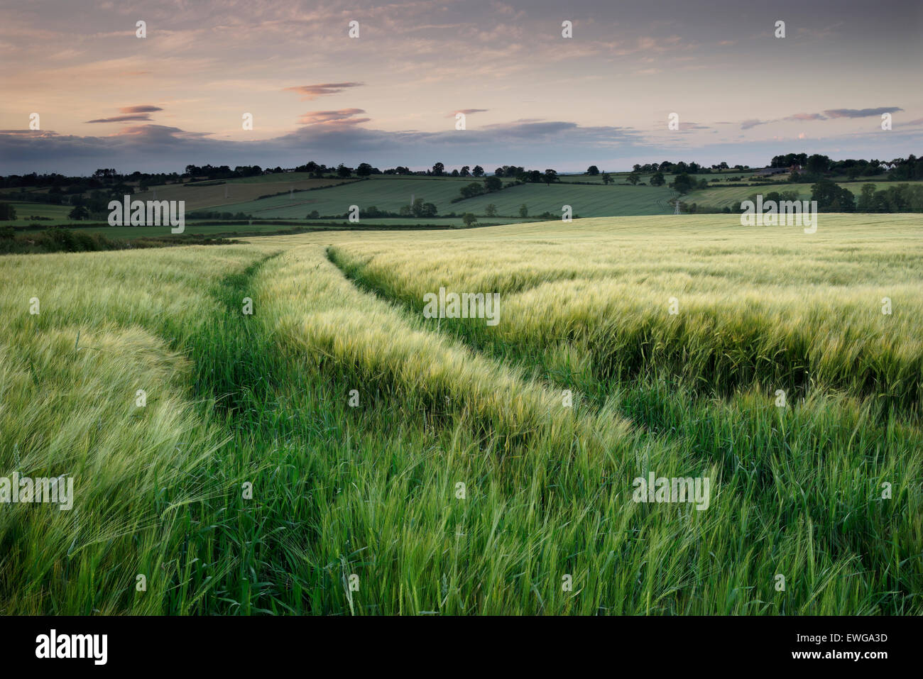 Tasley hi-res stock photography and images - Alamy