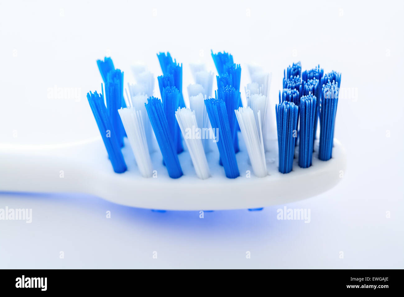 blue and white macro off toothbrush on white background Stock Photo - Alamy