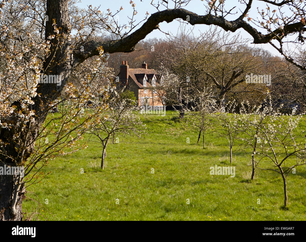Apple cottage hi-res stock photography and images - Alamy