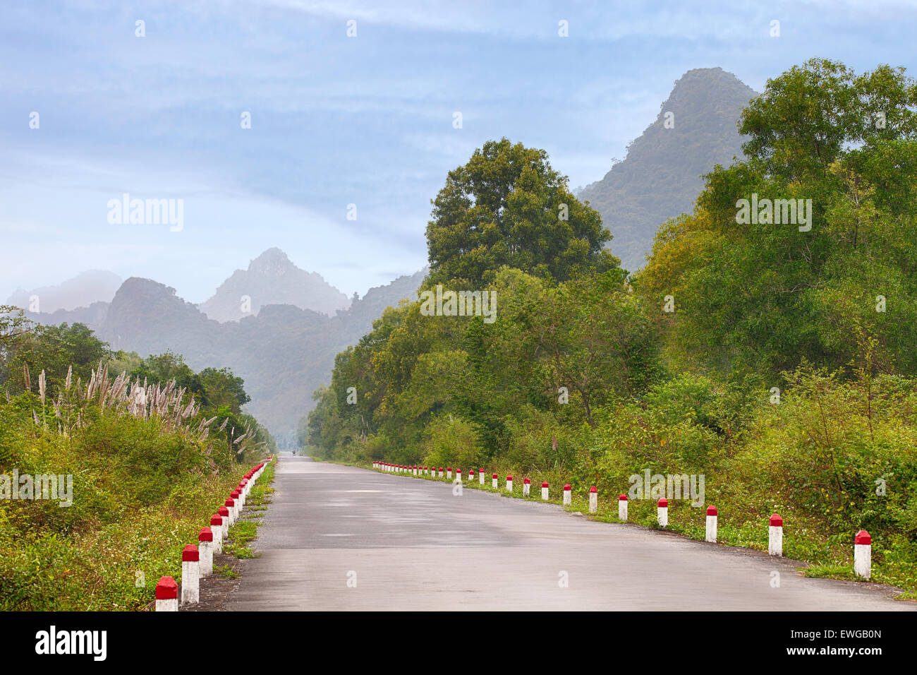 Asphalt road in jungle hi-res stock photography and images - Alamy