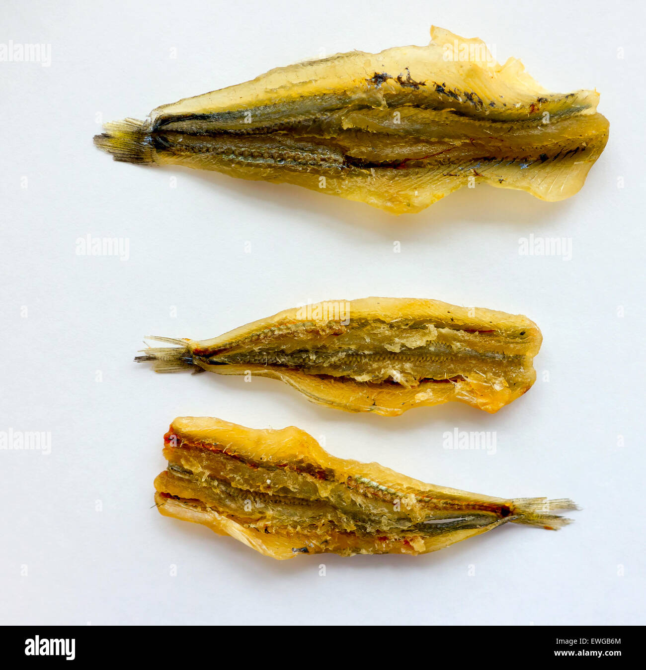 The Dried Fish on a color background Stock Photo - Alamy