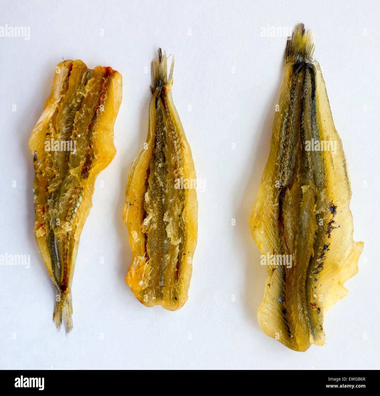 The Dried Fish on a color background Stock Photo - Alamy
