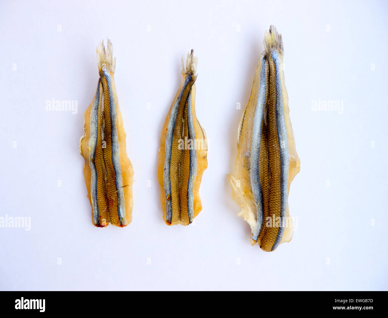 The Dried Fish on a color background Stock Photo - Alamy