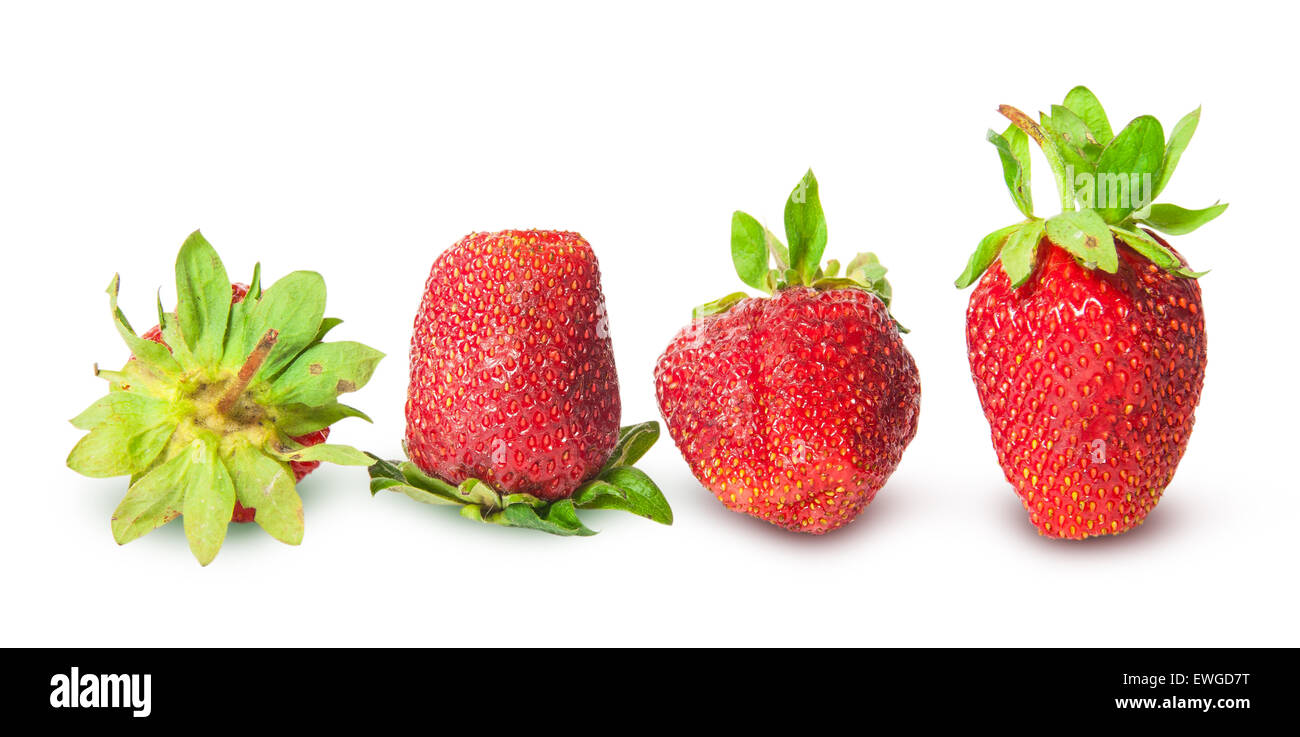Several strawberries in a row isolated on white background Stock Photo ...