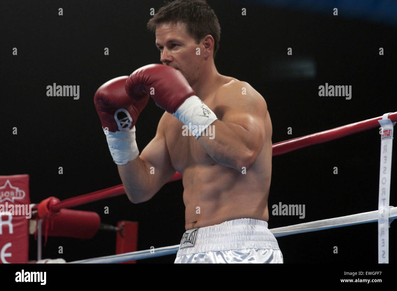 The Fighter is a 2010 biographical sports drama film directed by David ...