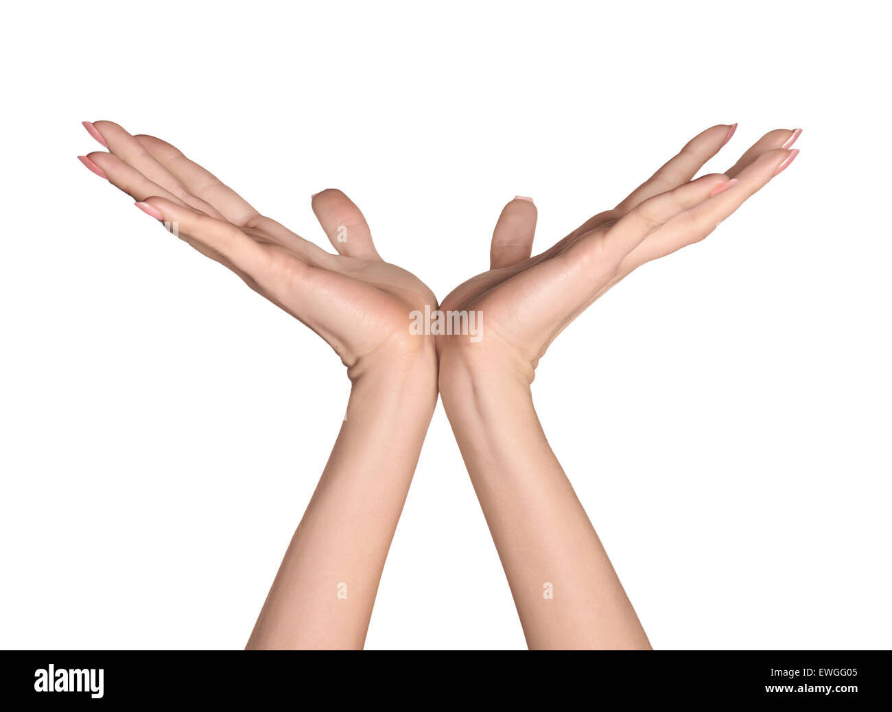 Hands holding something hi-res stock photography and images - Alamy