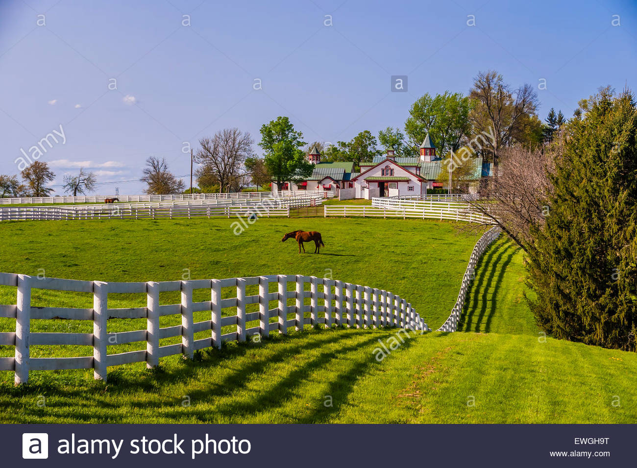 Calumet Farm Thoroughbred Horse Farm Stock Photos & Calumet Farm ...