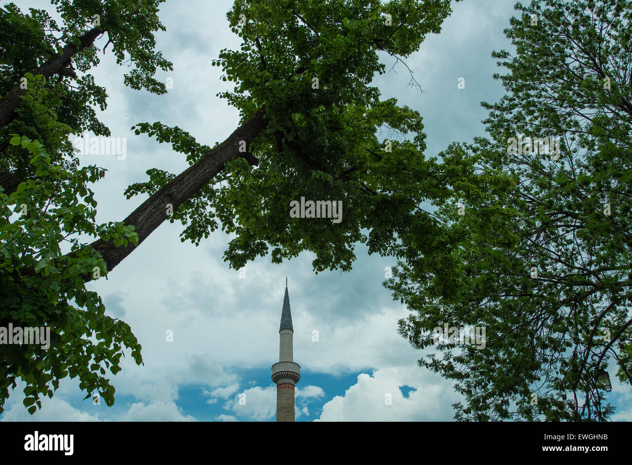 a minaret between the trees Stock Photo - Alamy