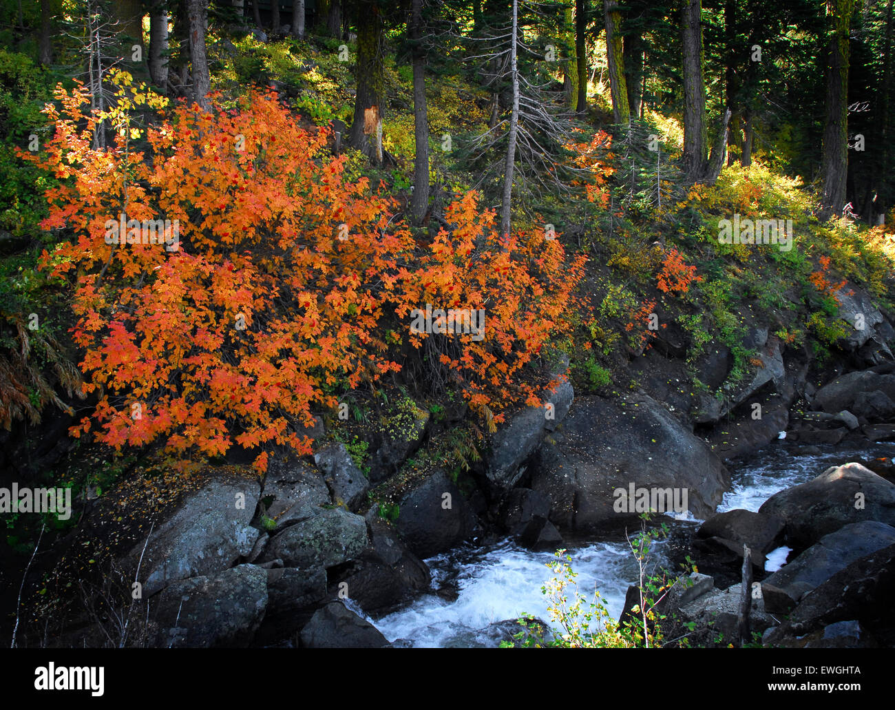 Lake tahoe fall colors hi-res stock photography and images - Alamy