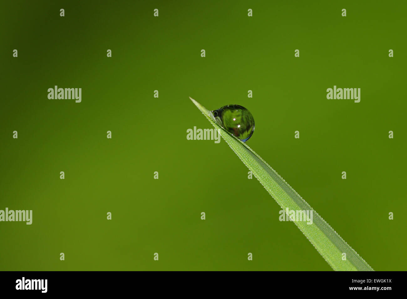 Single drop of water hi-res stock photography and images - Alamy