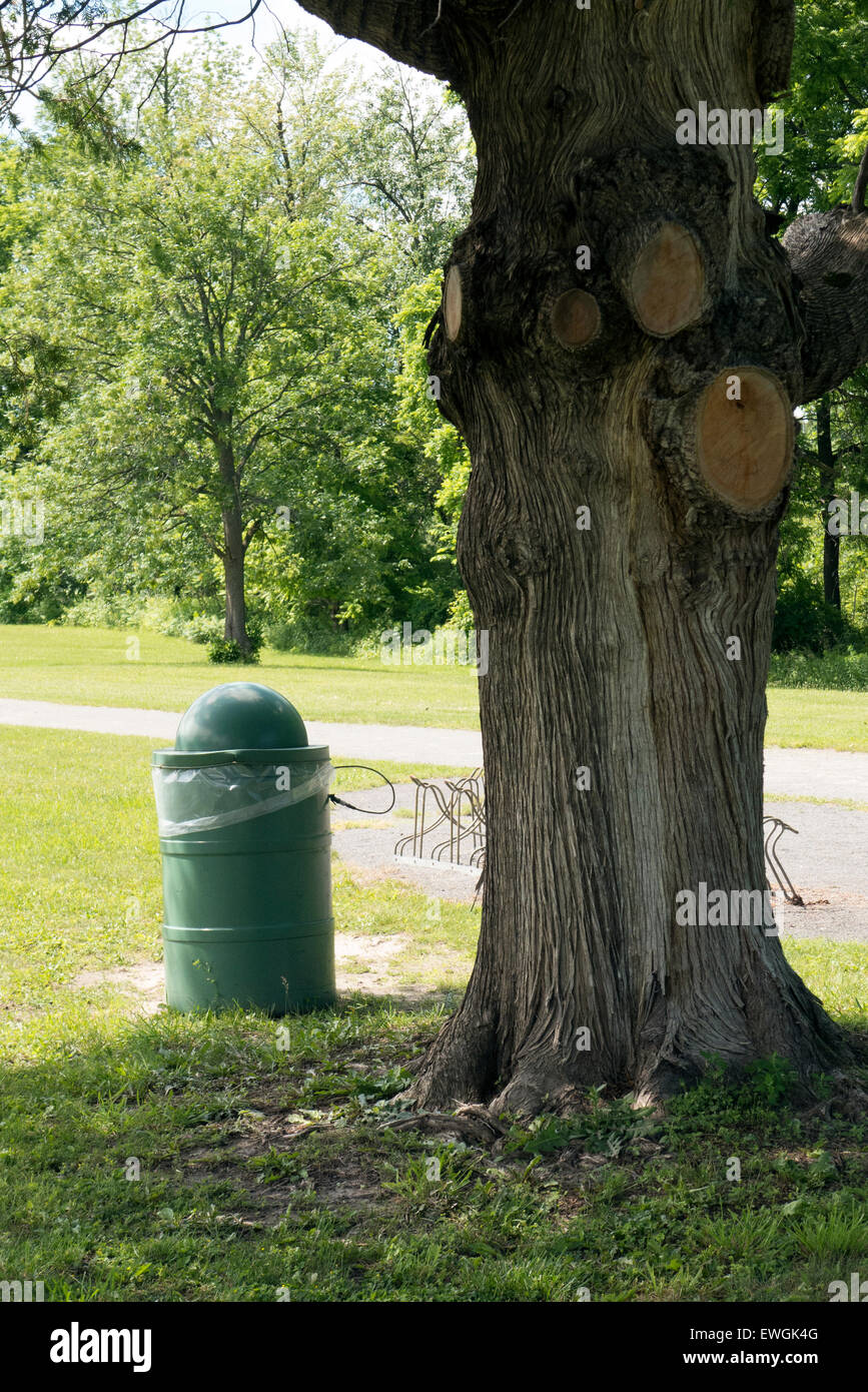 Trash can and tree in park Stock Photo - Alamy