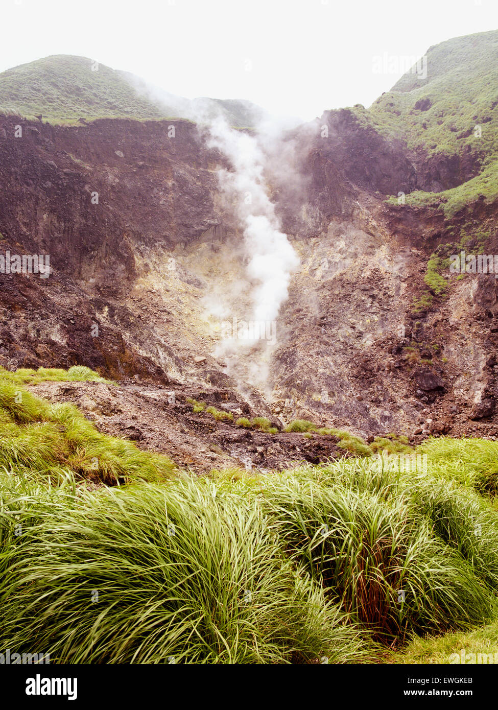 Yangmingshan National Park. Taipei. Taiwan Stock Photo - Alamy