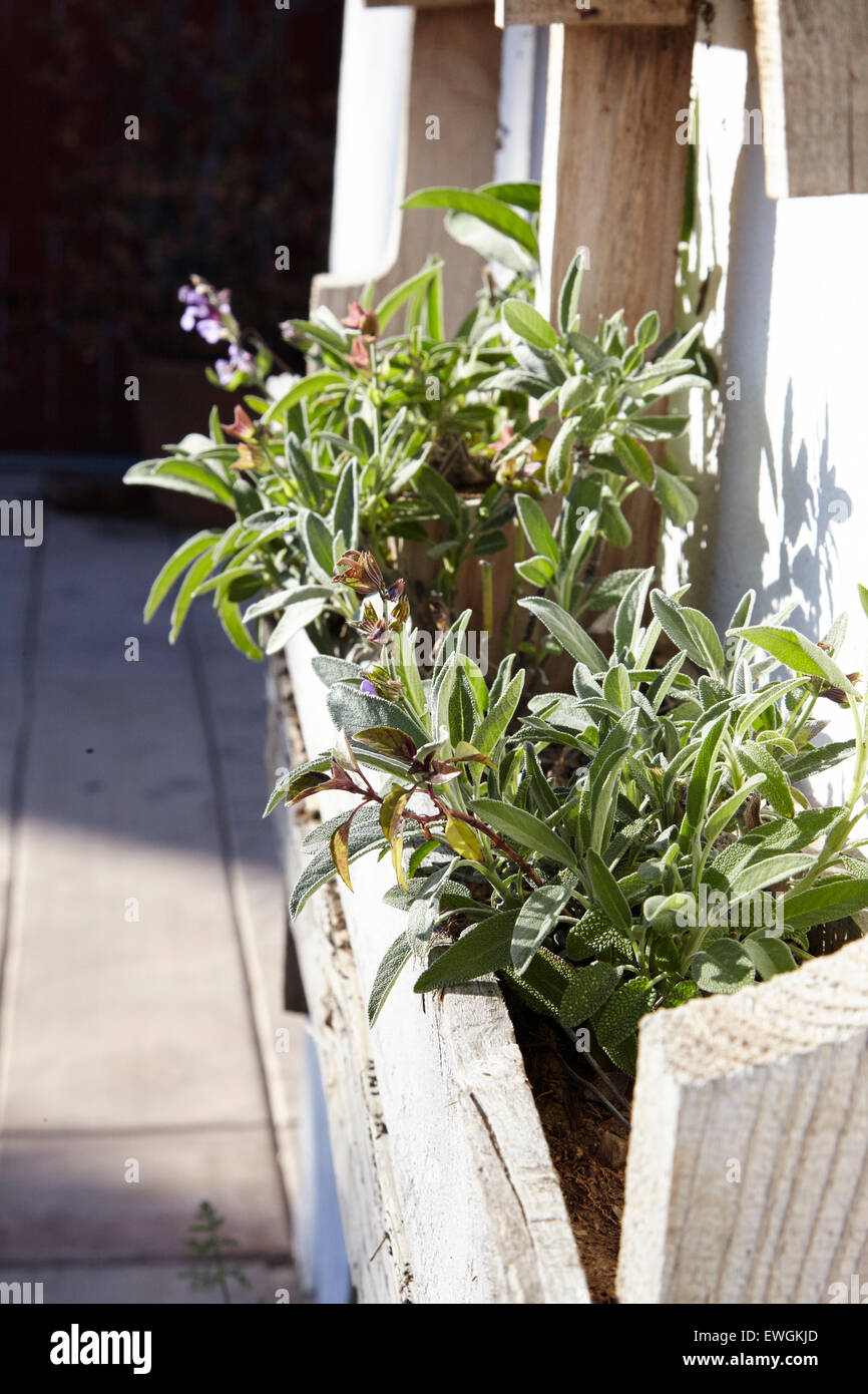 Shot for EatWith aaron ziegler Stock Photo - Alamy