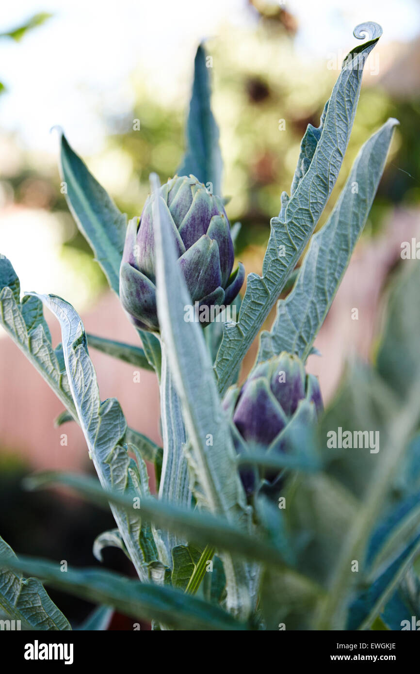 Shot for EatWith aaron ziegler Stock Photo - Alamy