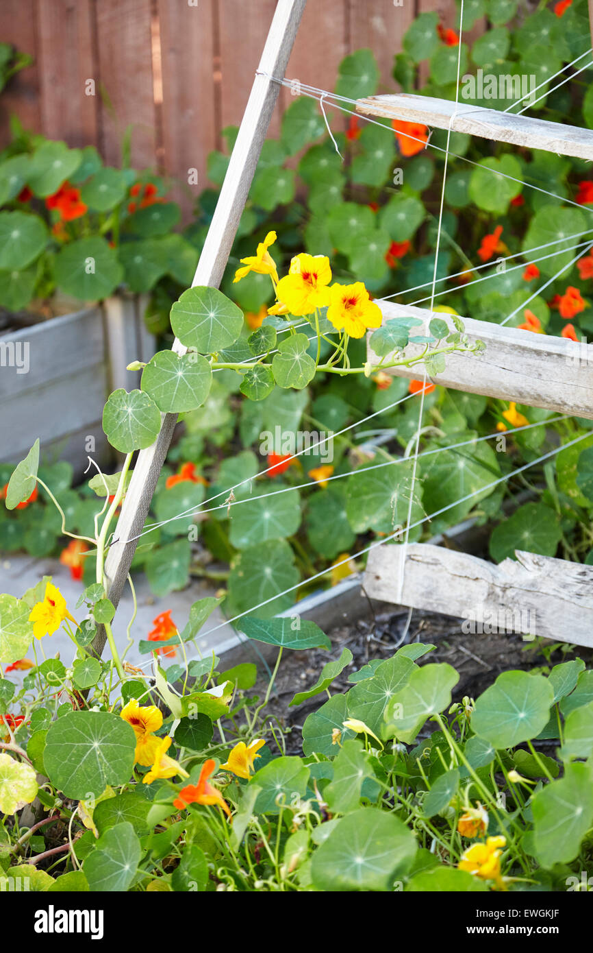 Shot for EatWith aaron ziegler Stock Photo - Alamy