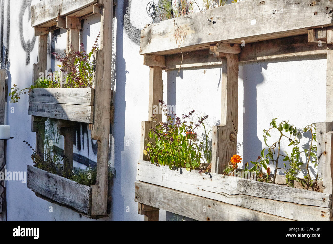 Shot for EatWith aaron ziegler Stock Photo - Alamy