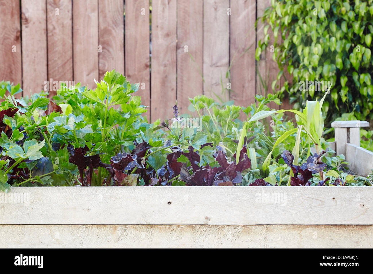 Shot for EatWith aaron ziegler Stock Photo - Alamy