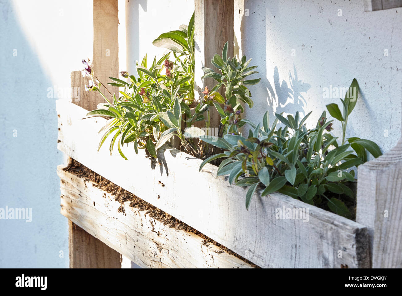 Shot for EatWith aaron ziegler Stock Photo - Alamy