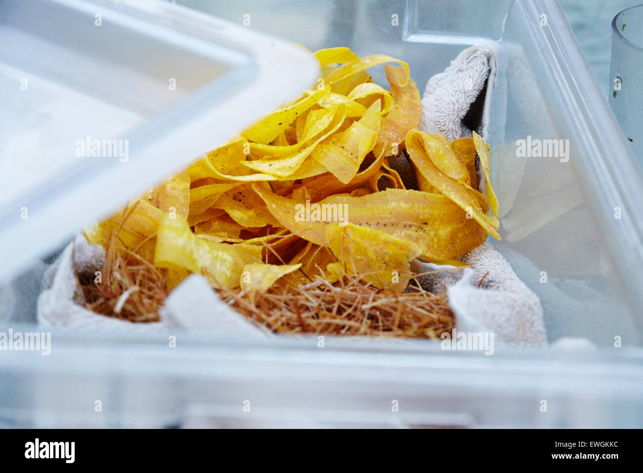 Shot for EatWith aaron ziegler Stock Photo - Alamy