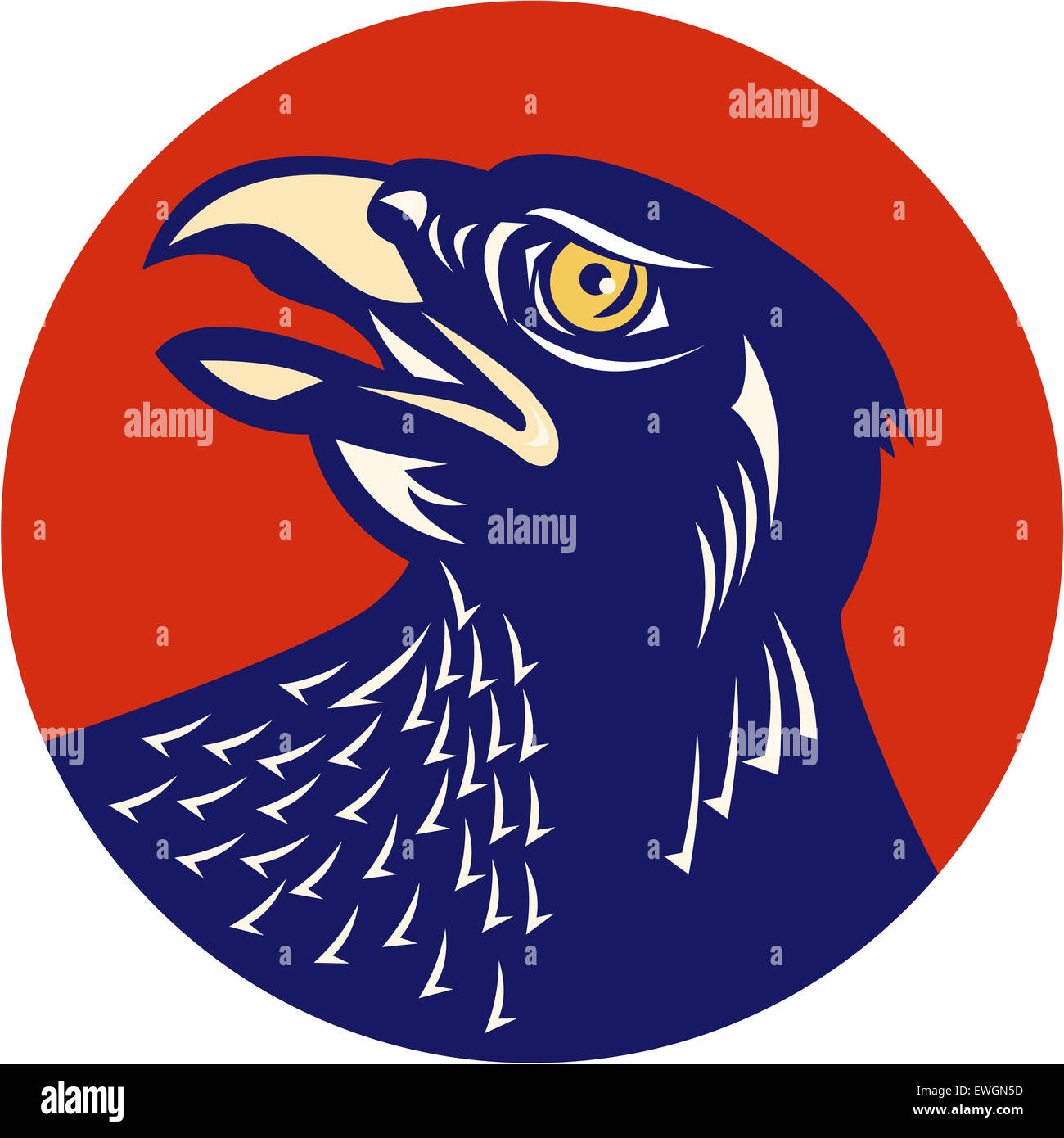 Illustration of a hawk falcon head looking up viewed from the side set ...