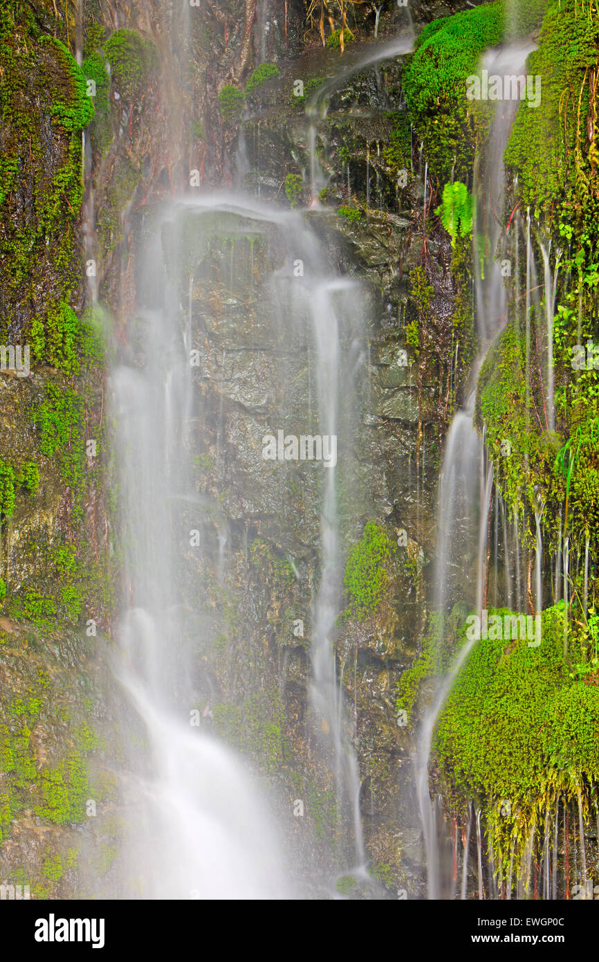 Rain water run off hi-res stock photography and images - Alamy
