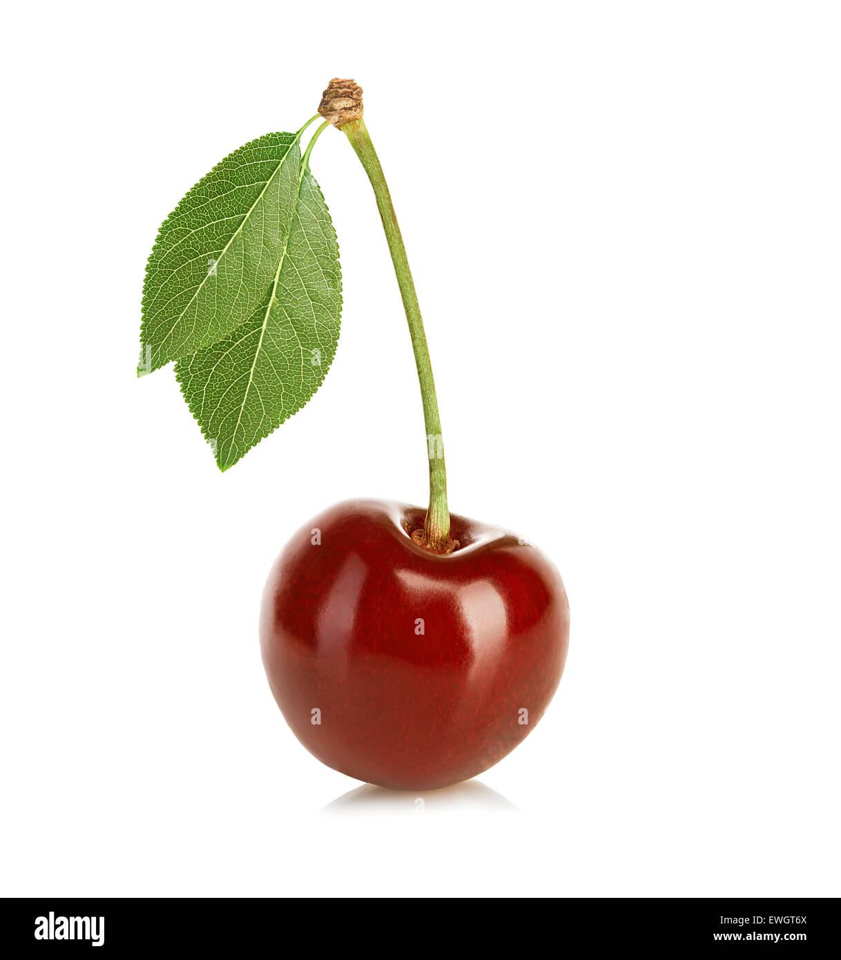 Cherry isolated on white background Stock Photo - Alamy