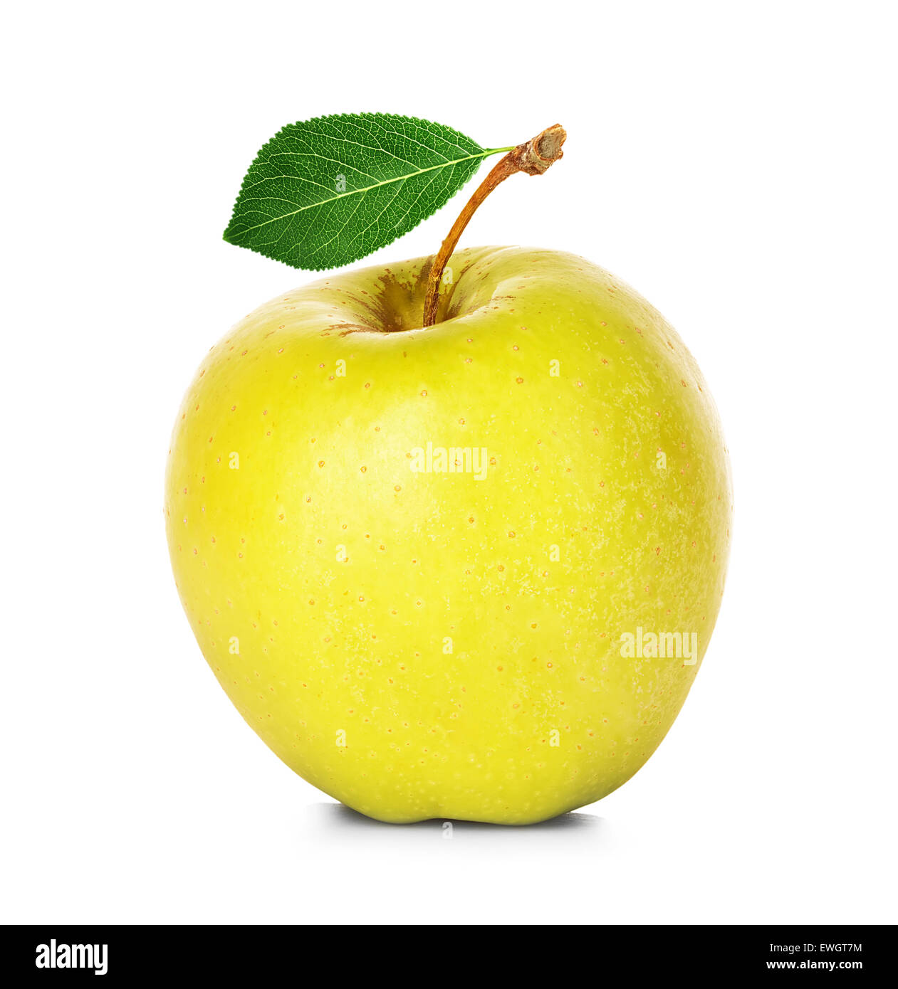 yellow apple Isolated on a white background Stock Photo - Alamy