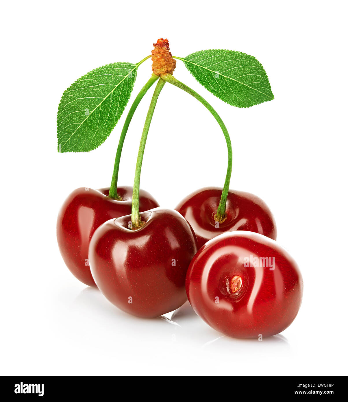 Cherry isolated on white background Stock Photo - Alamy