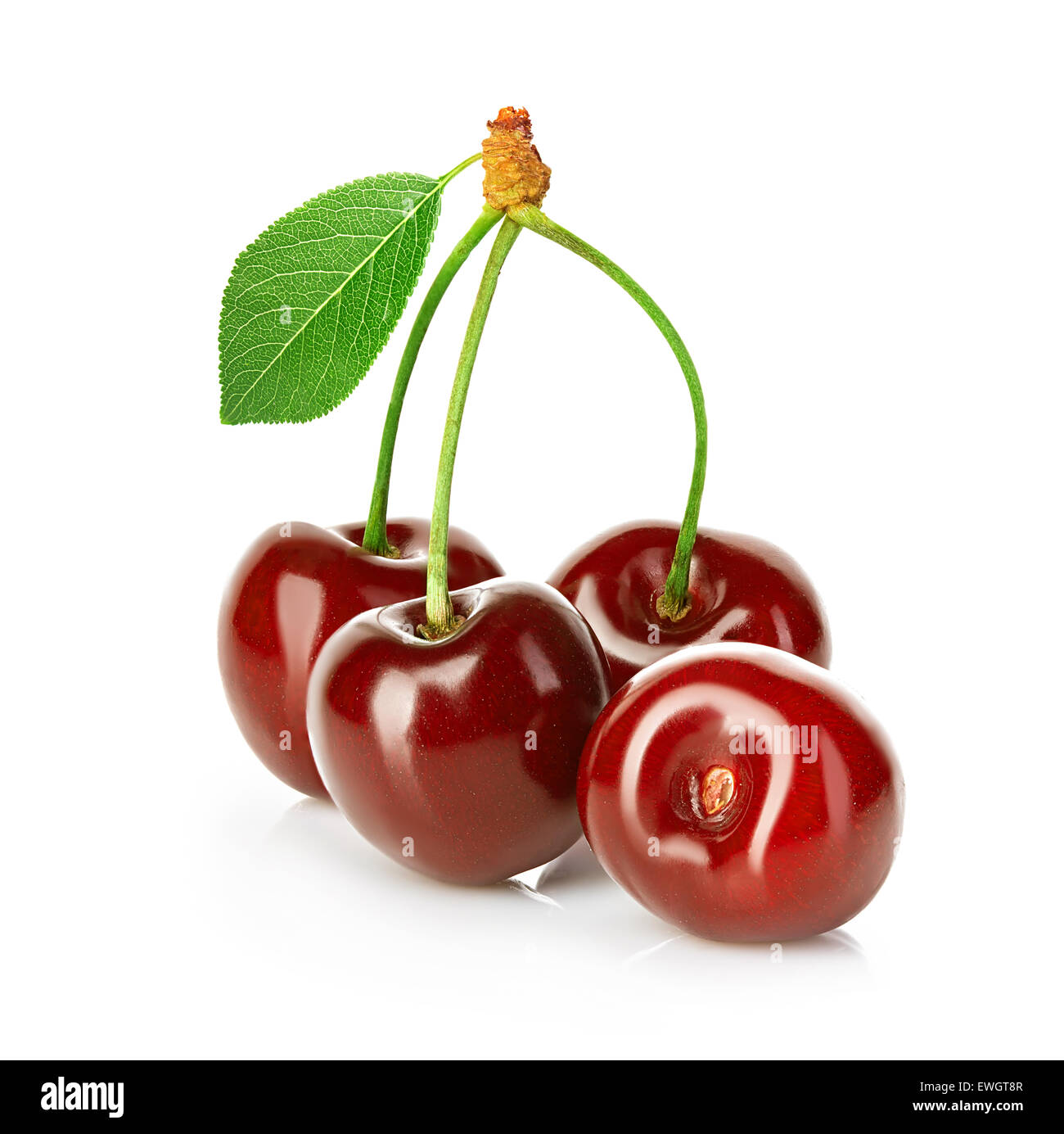 Cherry isolated on white background Stock Photo - Alamy