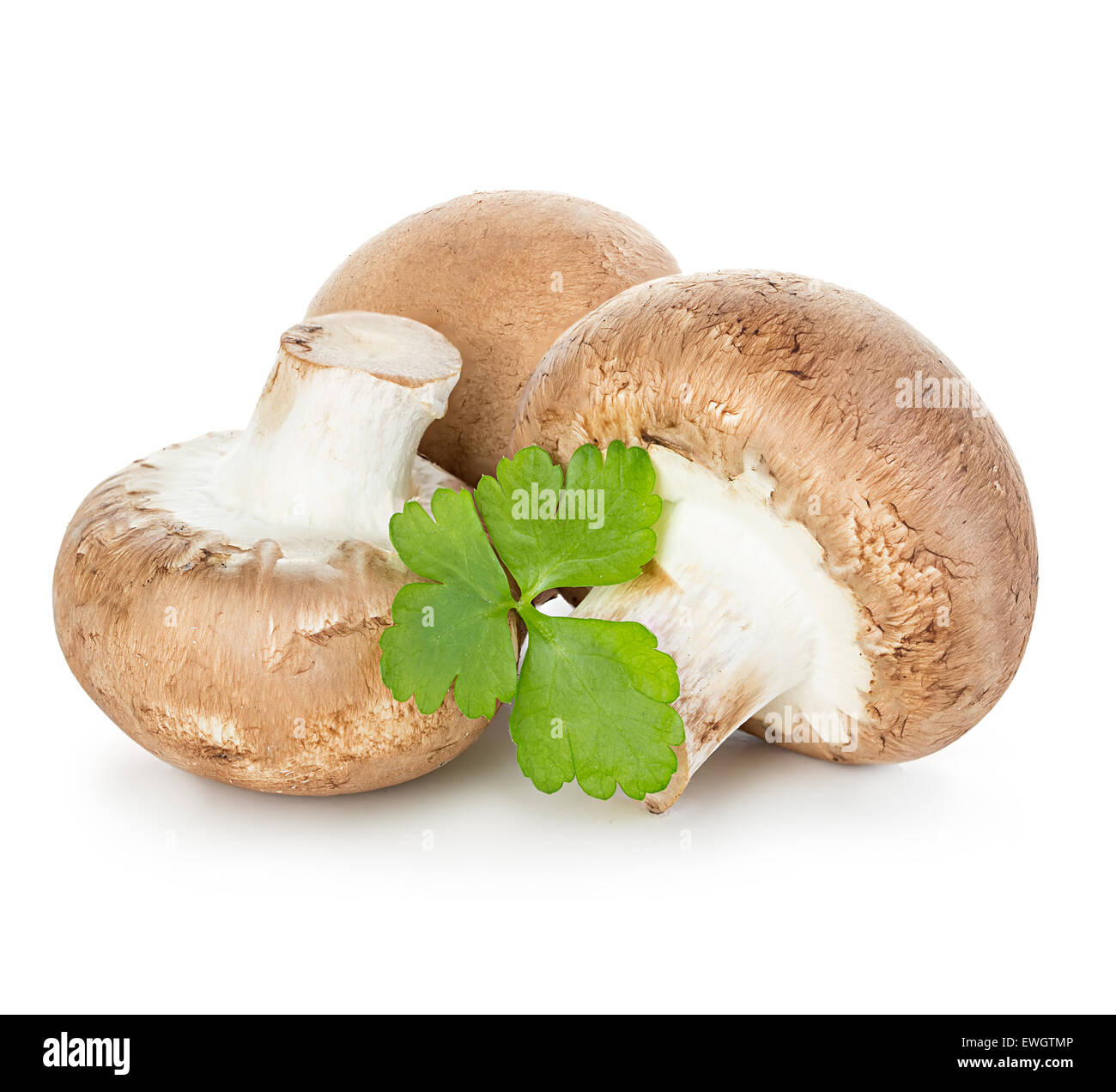 Brown champignons mushrooms Stock Photo - Alamy