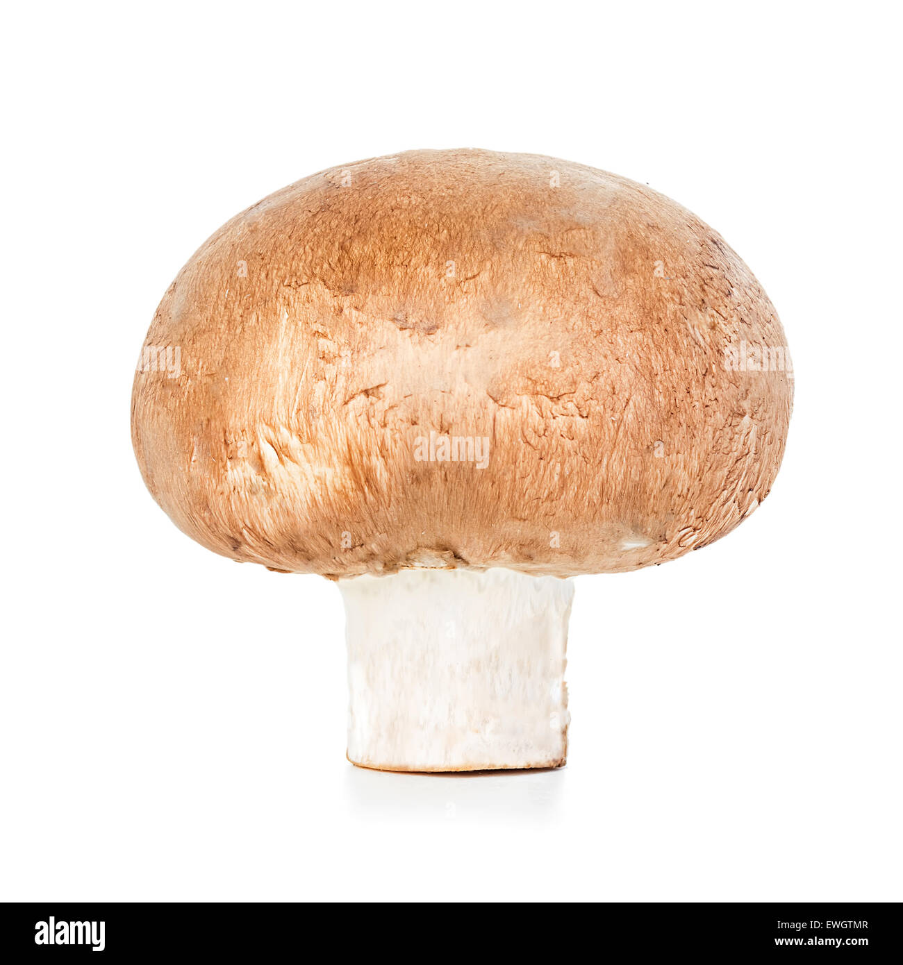 Brown champignons mushrooms Stock Photo - Alamy