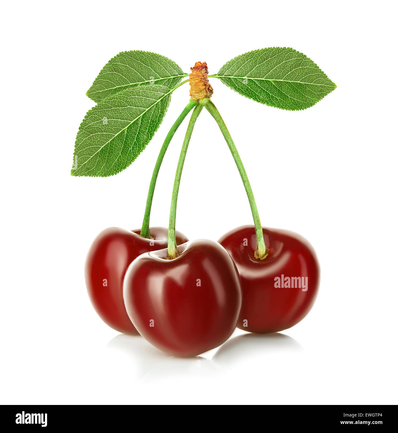 Cherry isolated on white background Stock Photo - Alamy