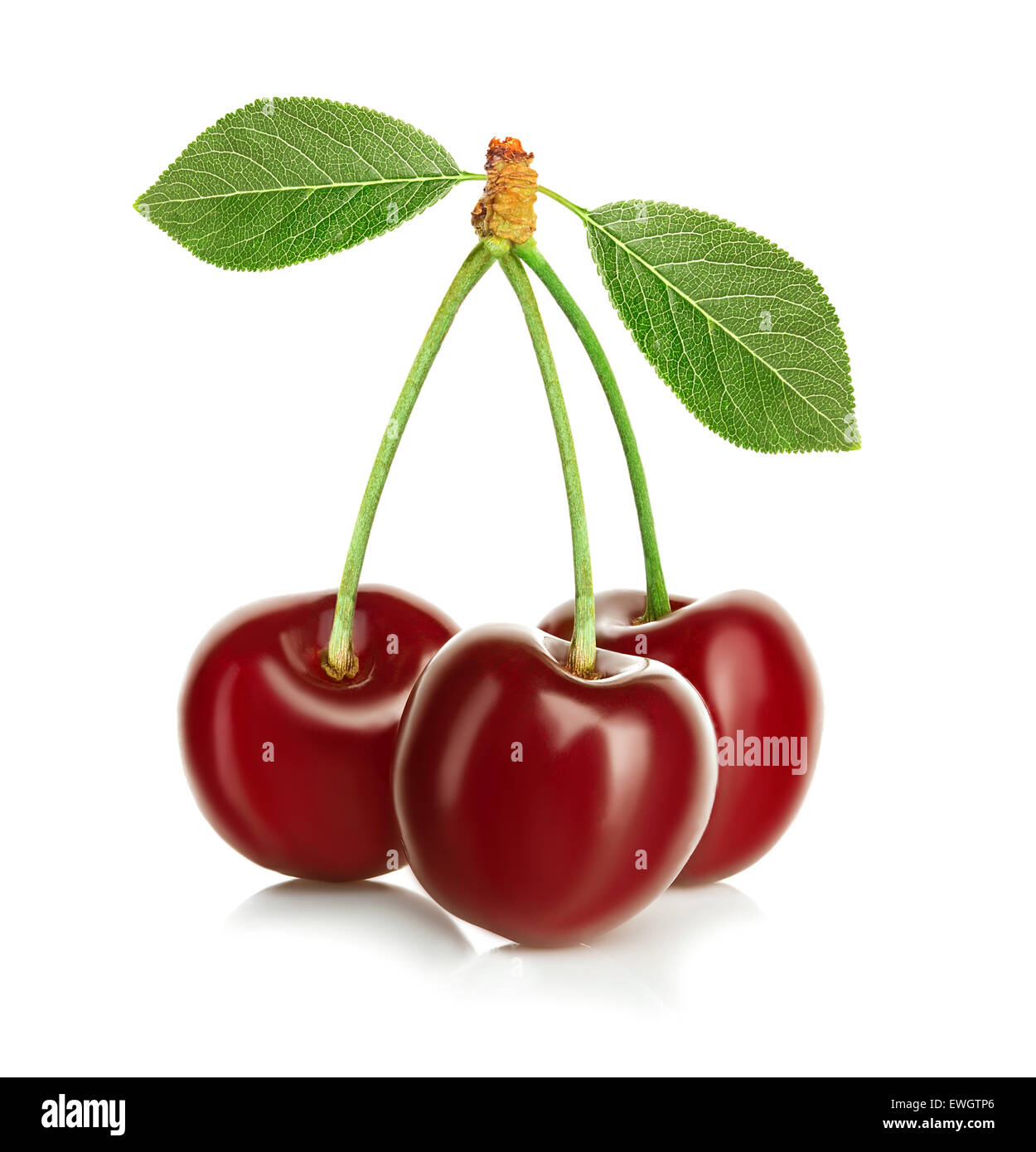 Cherry isolated on white background Stock Photo - Alamy
