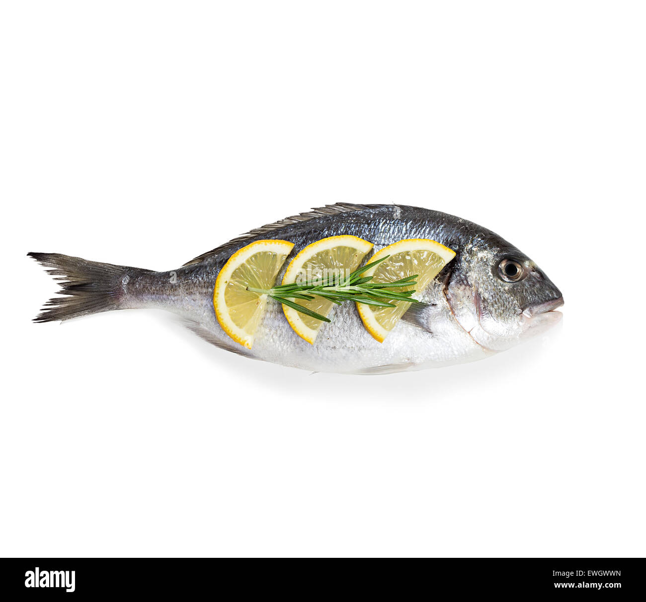 Dorado fish isolated on white background Stock Photo - Alamy