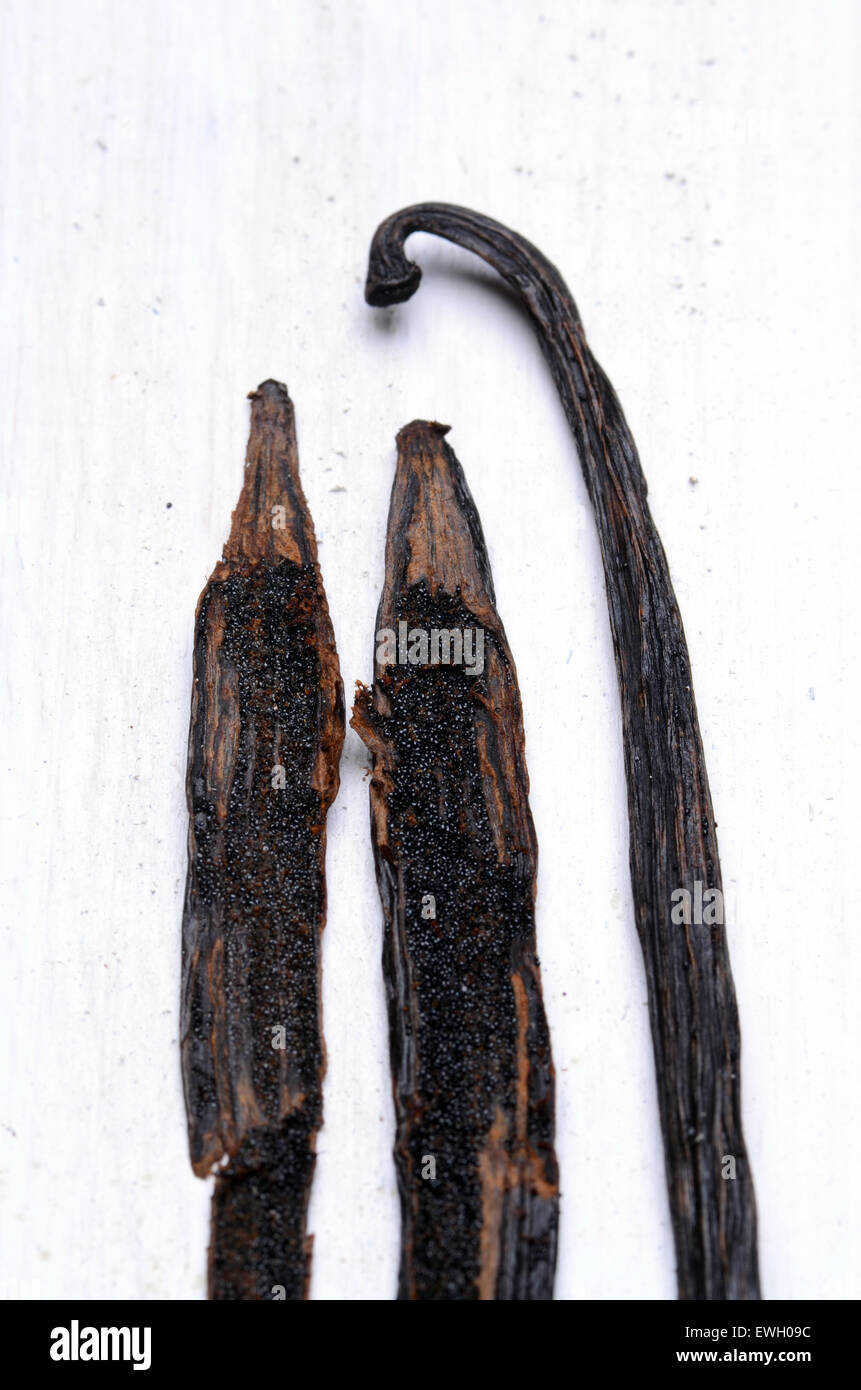 vanilla pods high resolution image Stock Photo - Alamy