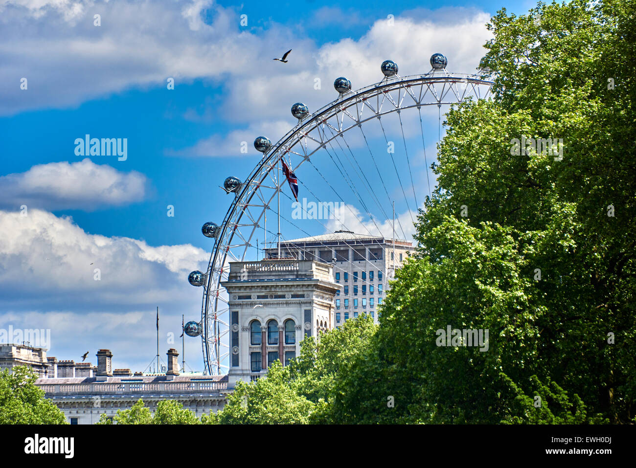 The London Eye is a giant Ferris wheel on the South Bank of the River ...